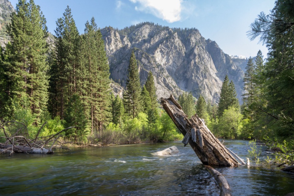 Discover the 3 Best National Parks in California | Explore Better